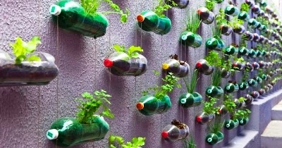 16+ Inspirasi Baru Kerajinan Pot Bunga Dari Botol Aqua