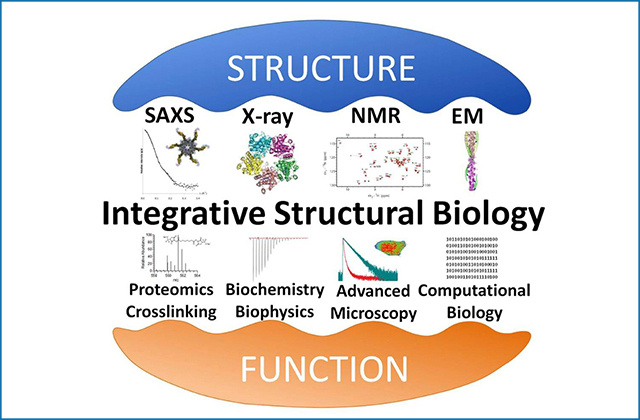 12th International Conference on Structural And Molecular Biology