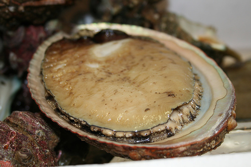 EMPTY SEA - FULL MARKET: CAPE TOWN CASE STUDY - ABALONE POACHING