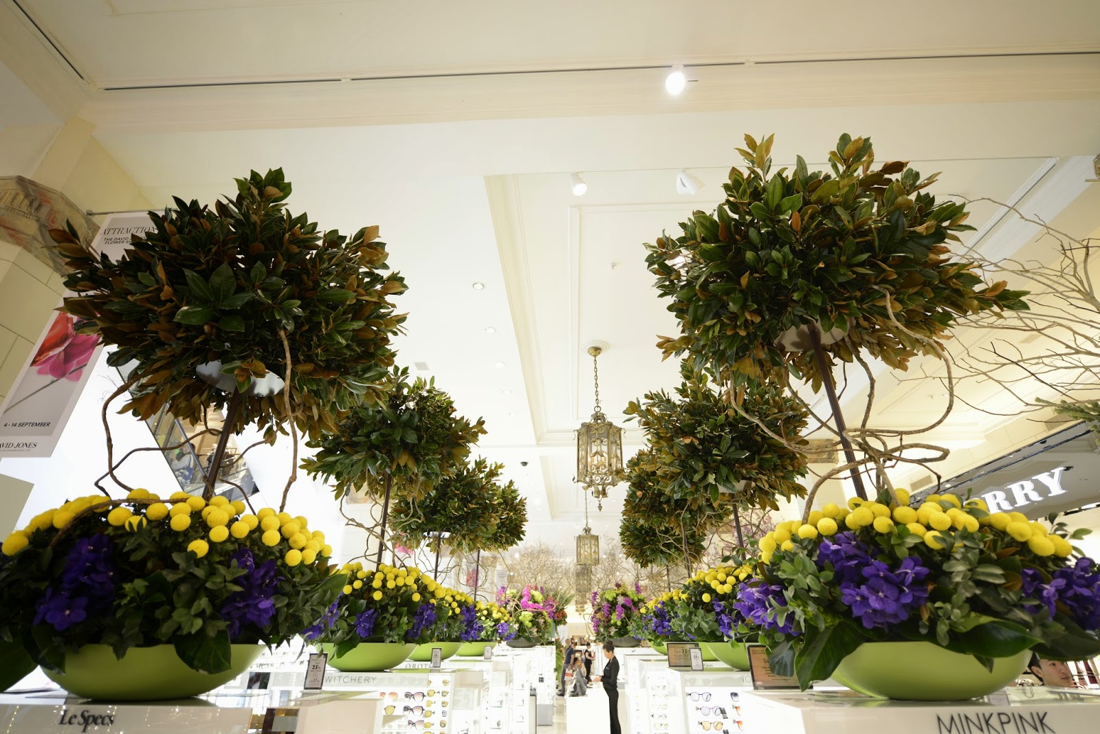 Urban Flower: David Jones Flower Show 2014 in the Sydney CBD