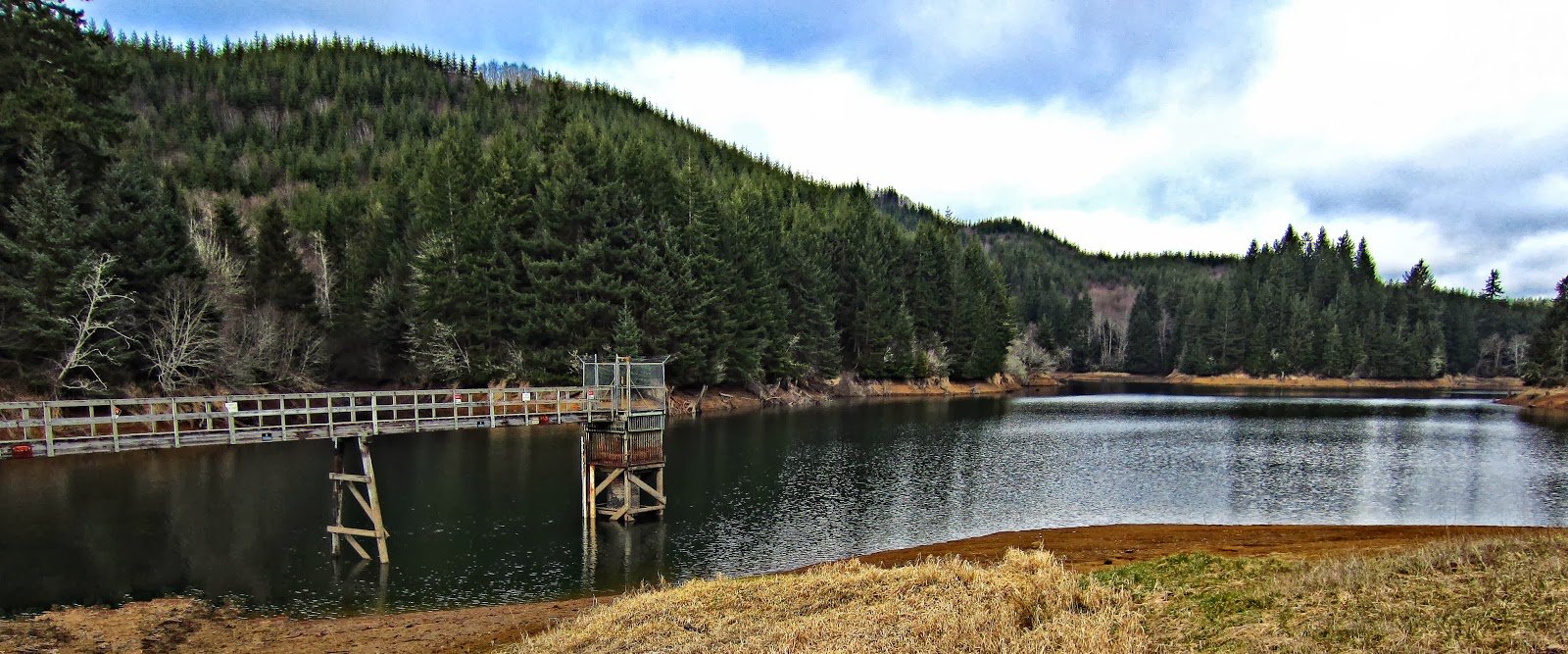 Thom Zehrfeld Photography : Olalla Lake