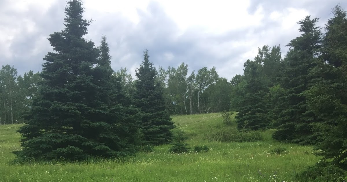 Special places in the world