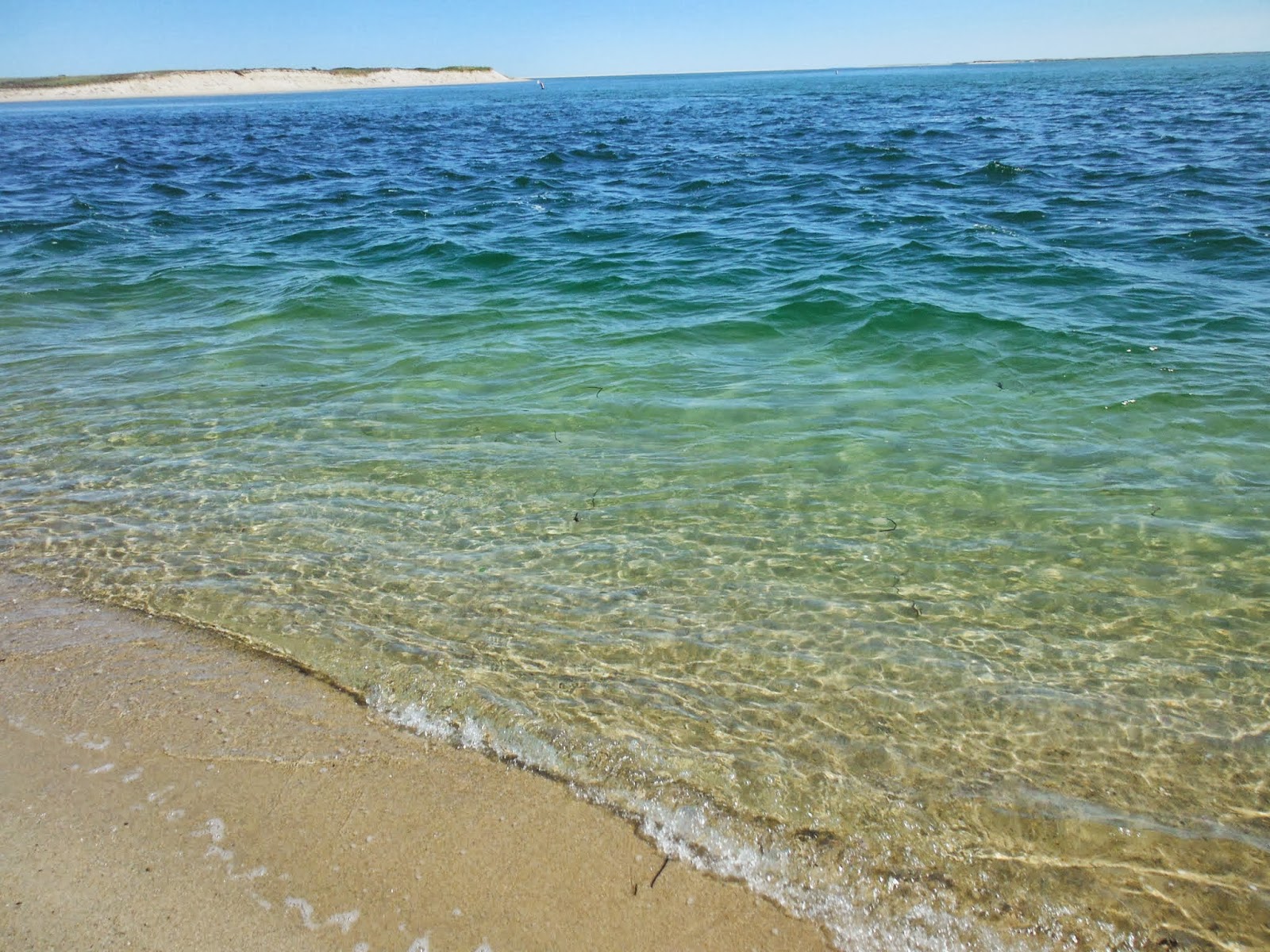 In the Little Yellow House: I Love Cape Cod