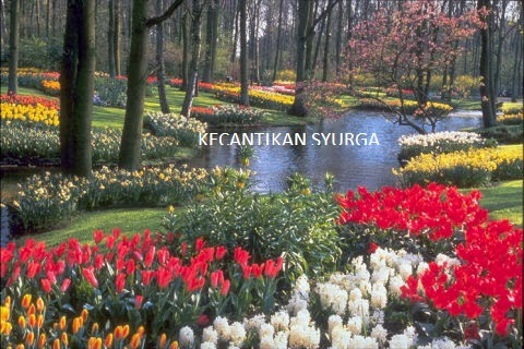 KEINDAHAN DAN KECANTIKAN SYURGA. ~ Amalan Di Dunia.