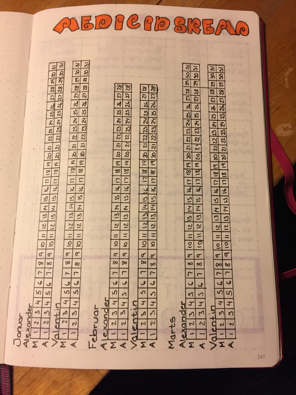 Bullet Journal - make your dreams come true: Medicinskema / Medicine ...