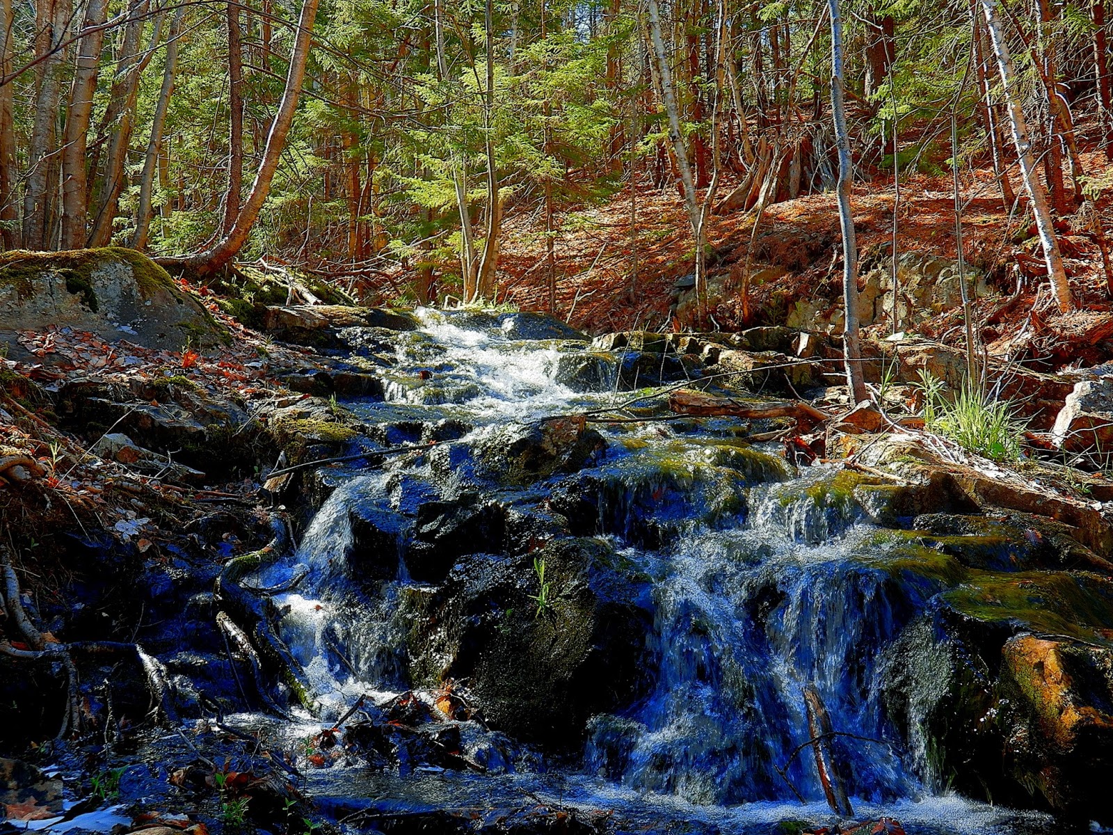 EXPLORING IN AND AROUND ACADIA NATIONAL PARK: EXPLORING AROUND WITCH ...