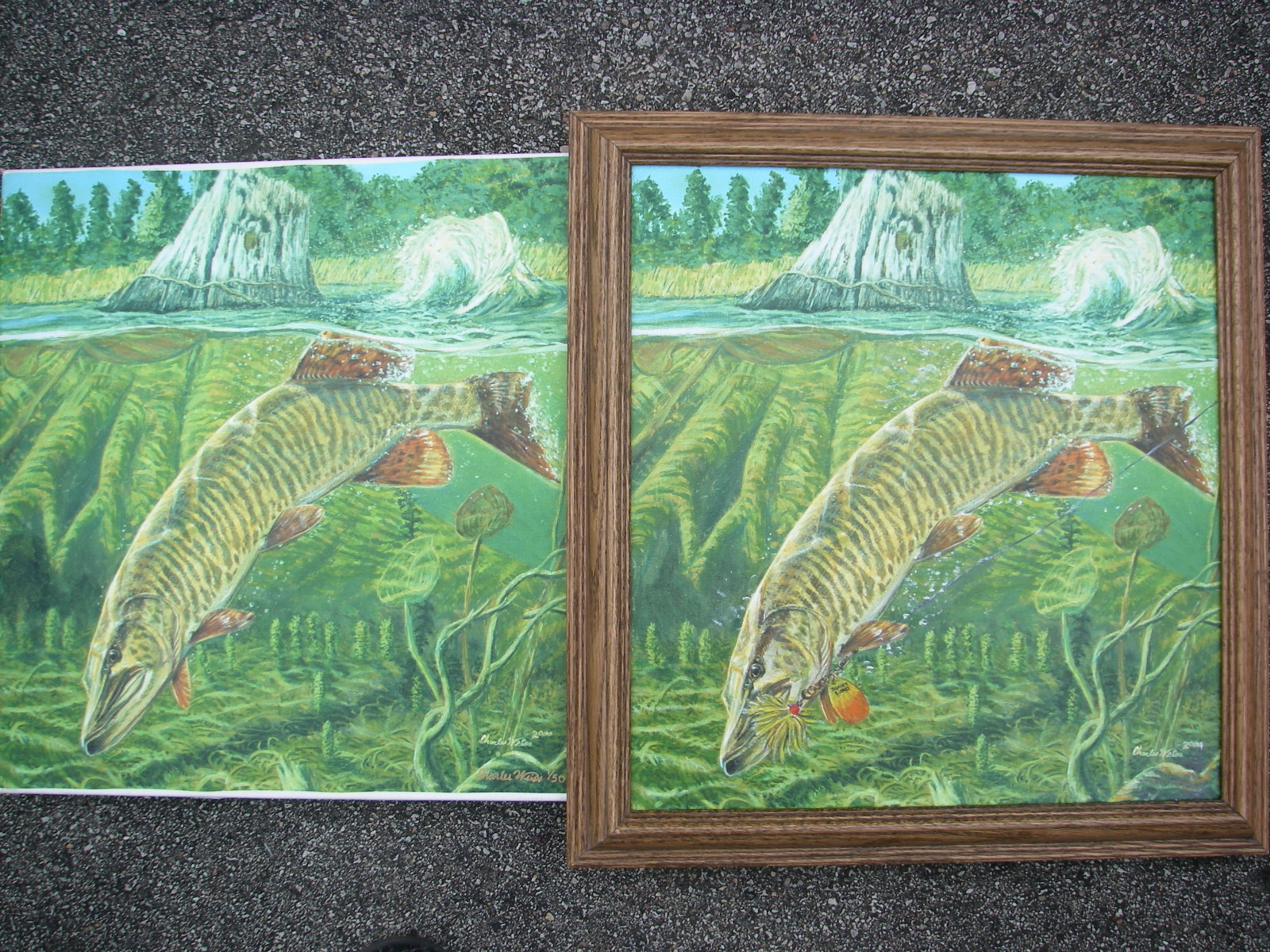 CHARLES WEISS ART: Add your favourite lure to Muskie Painting.