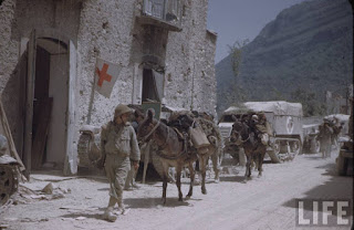 World War II Pictures In Details: French Troops Supported by American ...