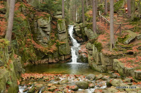 Mozaika życia: Podgórzyn i okolice