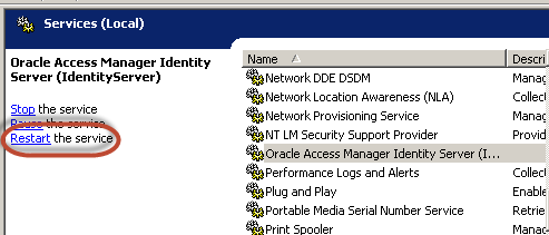 IAM IDM: OIM & OAM 10g installation Part 4: Identity System Console Setup