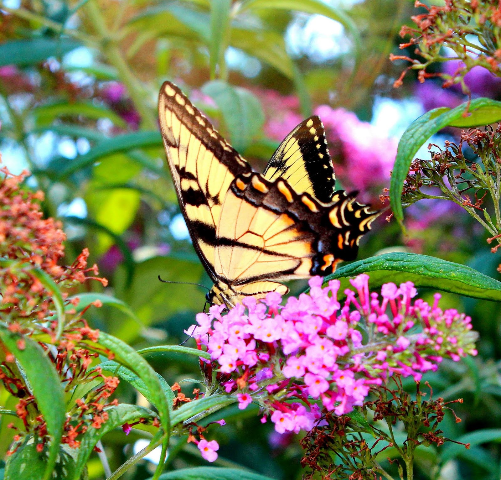 Ryan Perry ART 290: January 2013