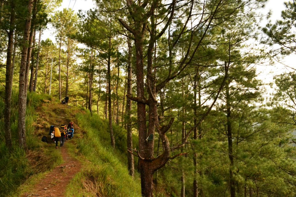 Orangutan Mountaineers: Mount Amuyao, Barlig Mountain Province