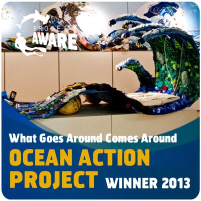 The Plastic Ocean Project: Thank you Project Aware and Voters, "What ...