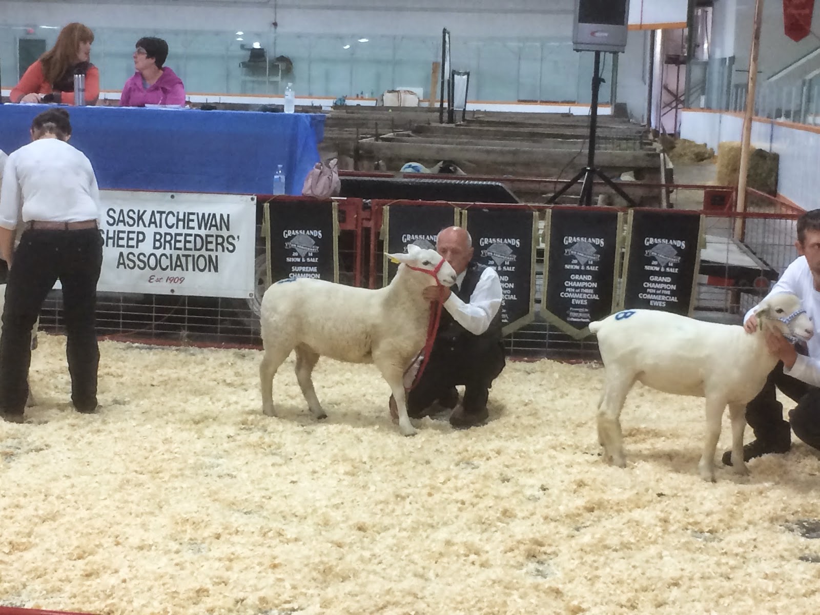 Living Sky Ranch: Grassland Sheep Show