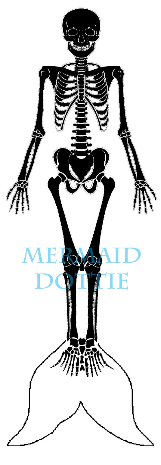 Rocky Mountain River Princess: Selkie mermaid/human anatomy.