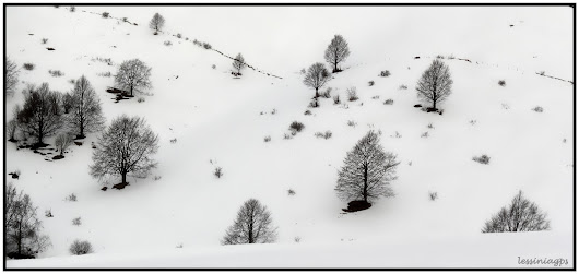Ciaspolata dai Parpari sul Monte Grolla e Cima Trappola - LessiniaGPS