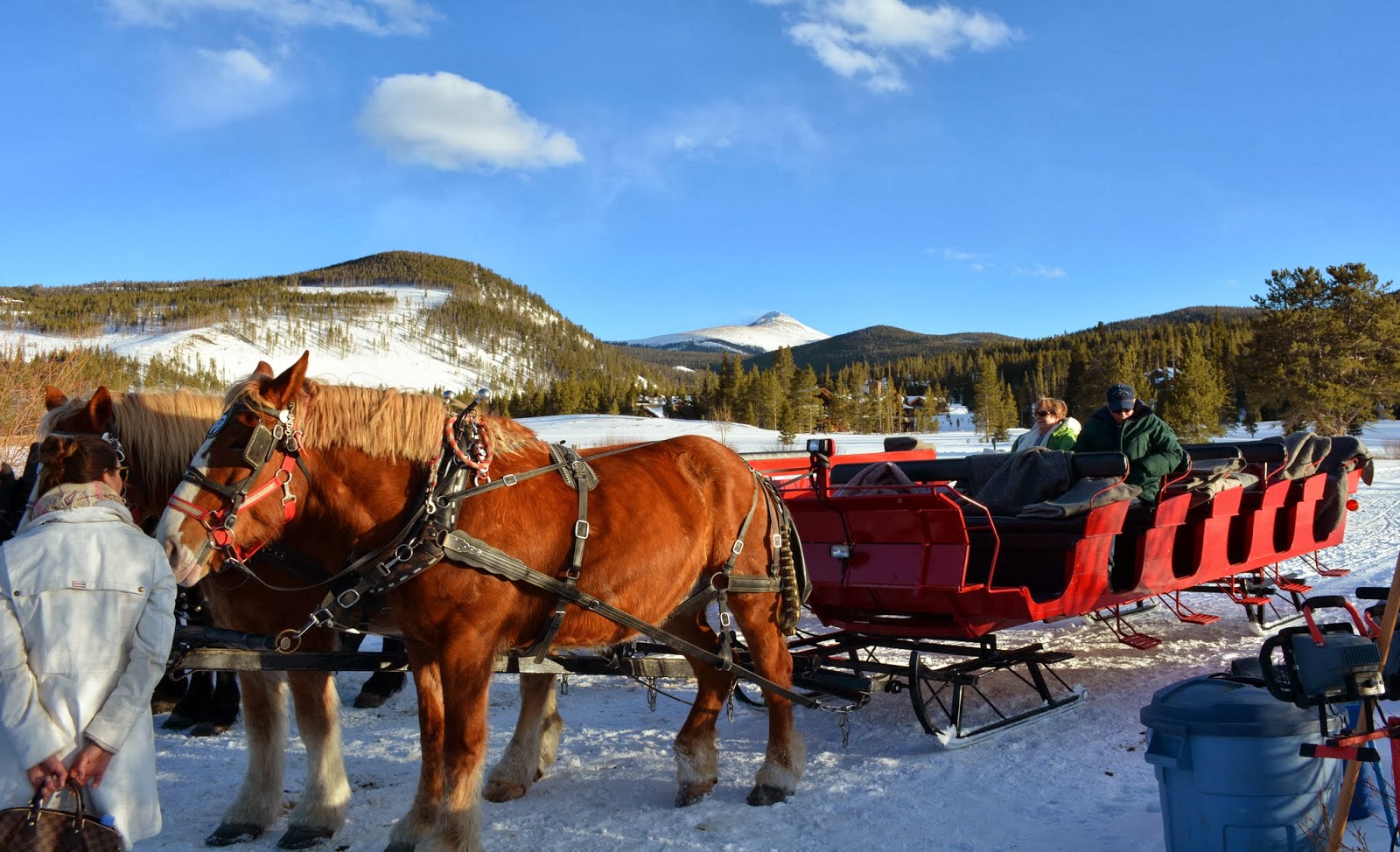 Mille Fiori Favoriti: Sleigh Ride in Breckenridge