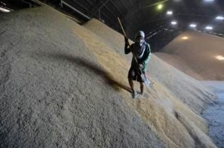 Alt Thai News Network ATNN : Rice Farmers Revolt? A Solution to ...