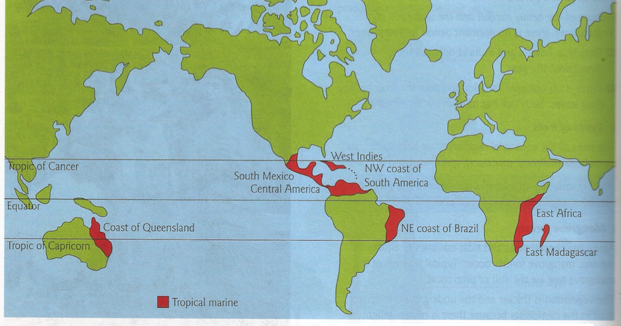 Weather and Climate: Tropical Marine Climates