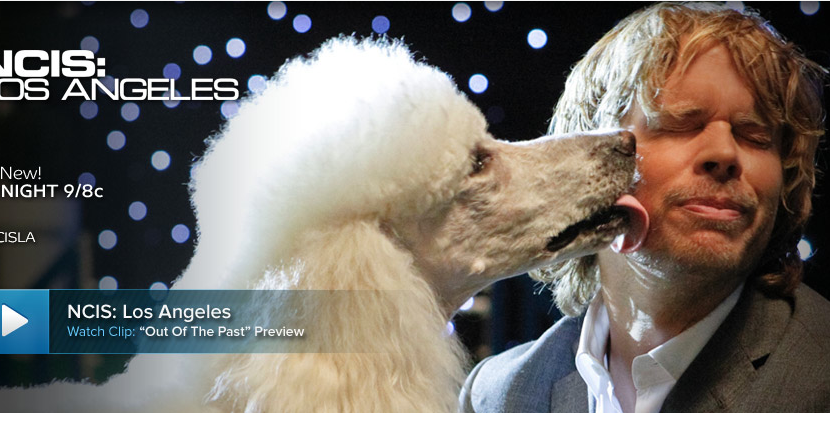 MsNscr: Mr. Ramen Noodle Poodle Pants on NCIS:LA