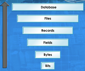 𝐈𝐧𝐟𝐨𝐭𝐞𝐜𝐡 𝐂𝐚𝐫𝐞: Organizing Data and Information