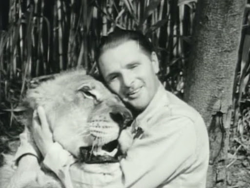 The MGM Lion With 9 Lives; Jackie