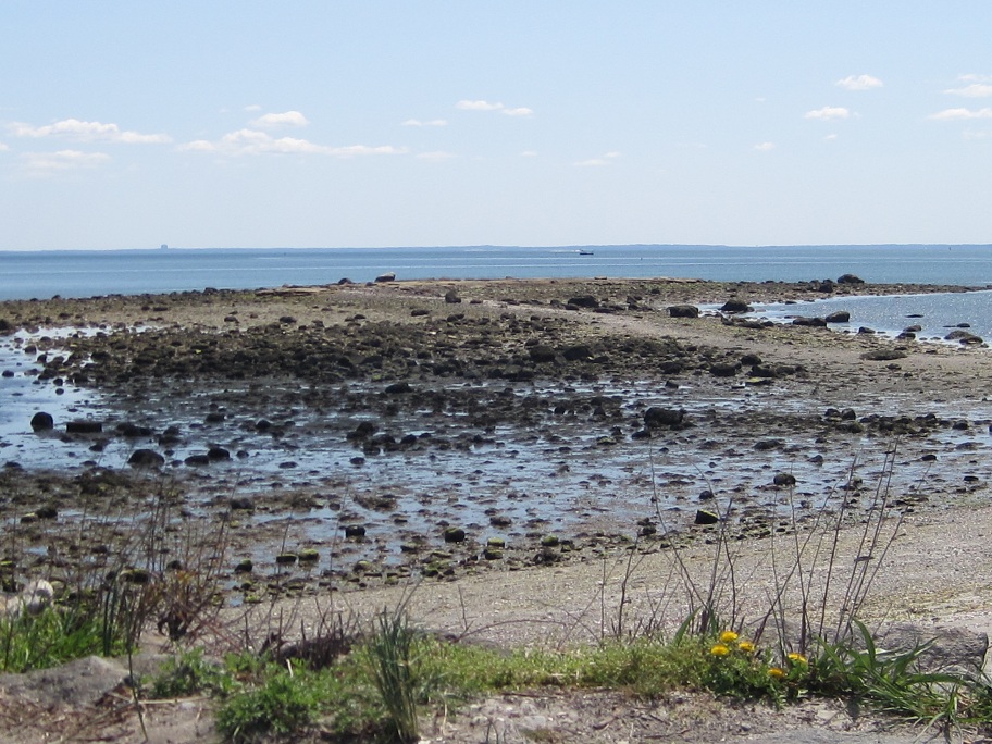 Anne's Creative Cornucopia: Beach - Pictures