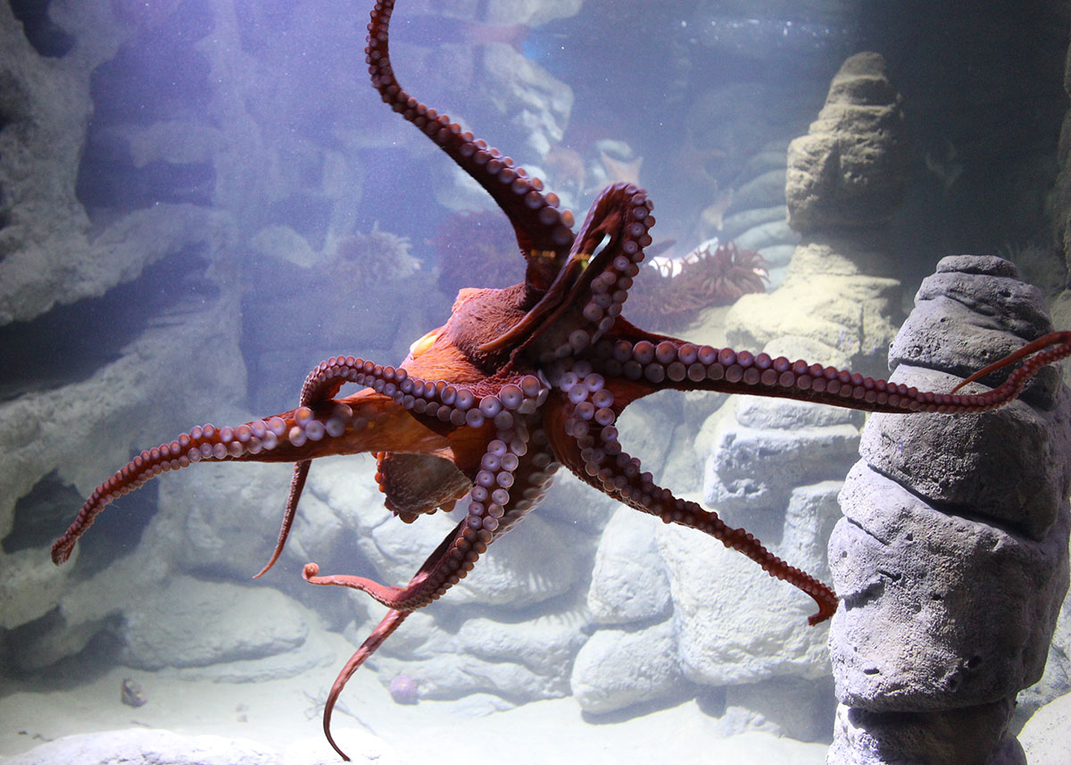 Exhibit Galleries Blog