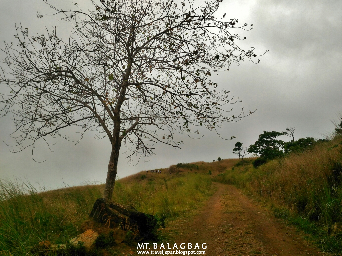 Mt. Balagbag | Bulacan
