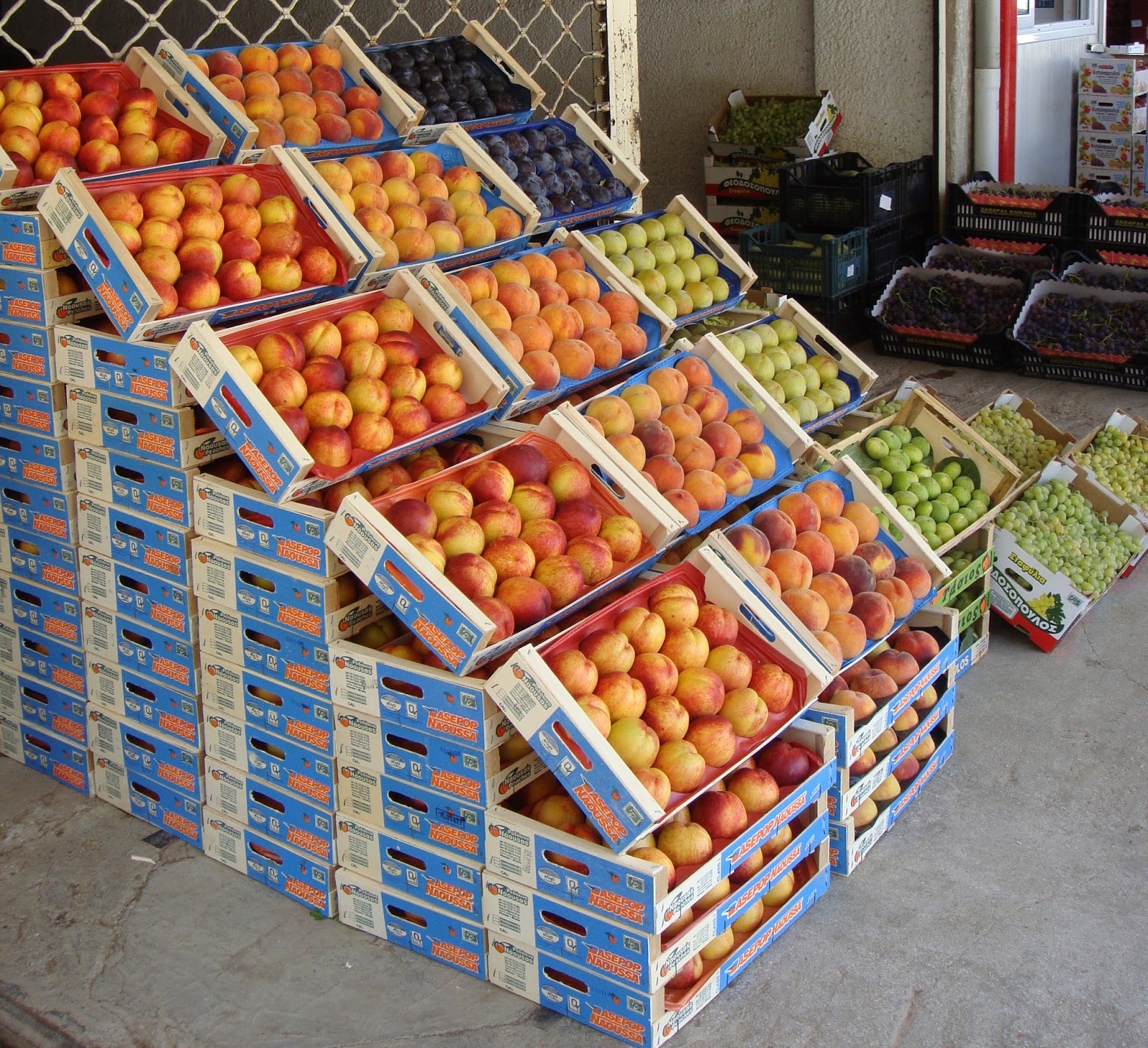 ΑΡΑΜΠΑΤΖΗΣ ΧΟΝΔΡΙΚΟ ΕΜΠΟΡΙΟ: ΦΡΟΥΤΑ-ΛΑΧΑΝΙΚΑ