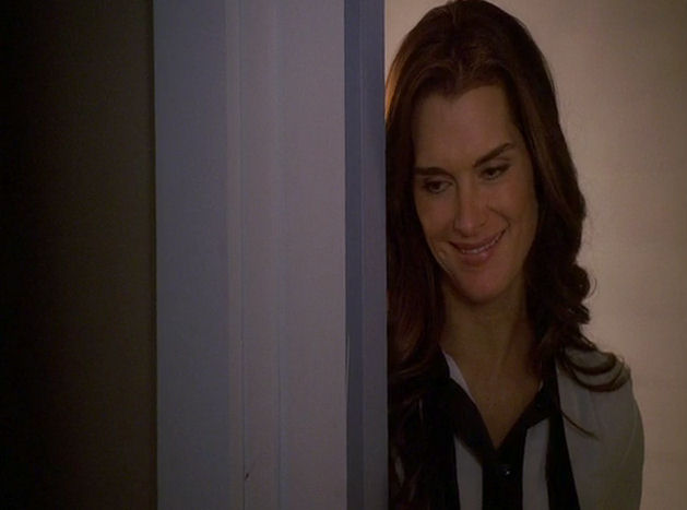 Ladies In Satin Blouses Brooke Shields White Silk Blouse