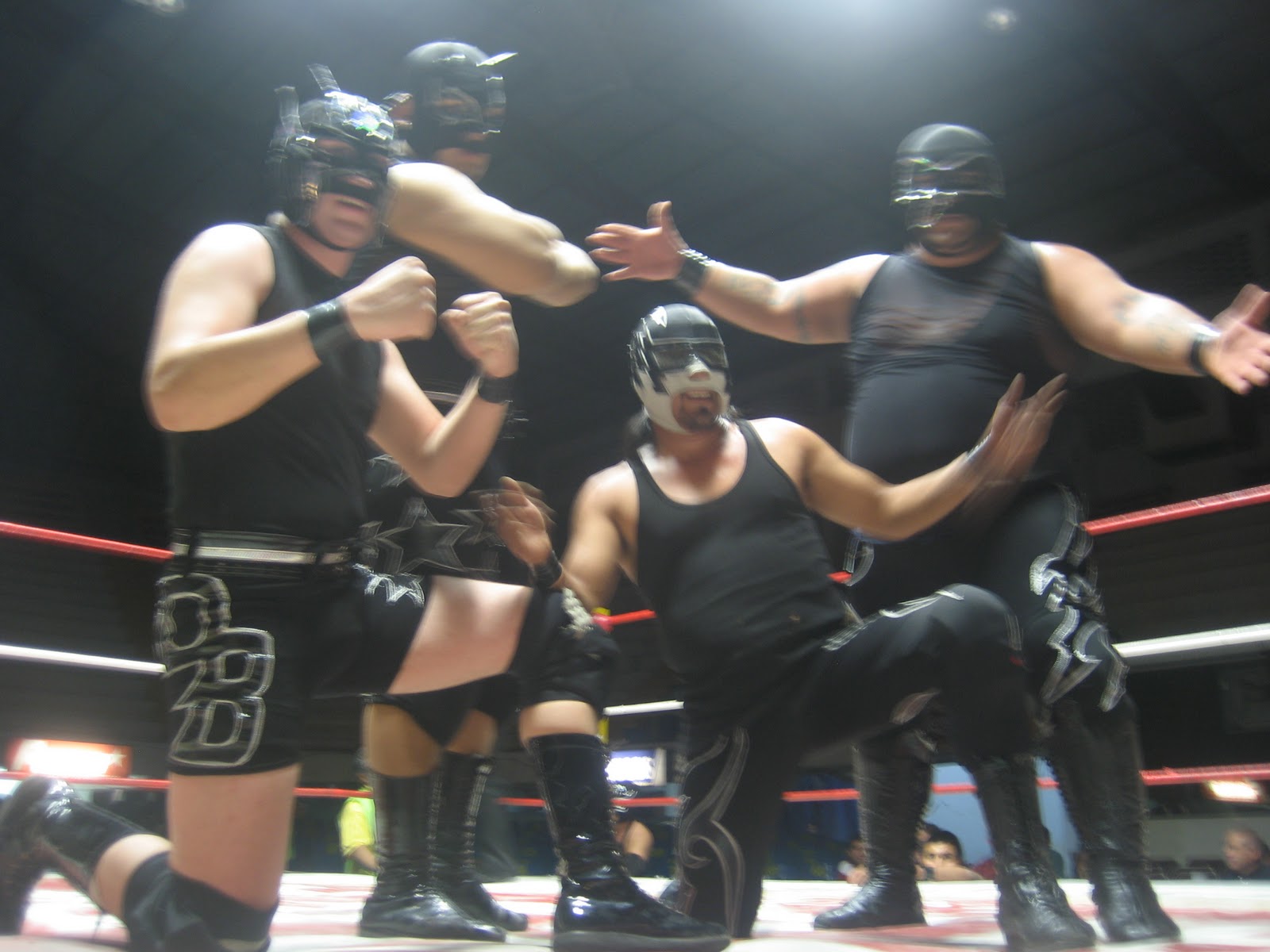 Burrito Belle: Lucha libre...