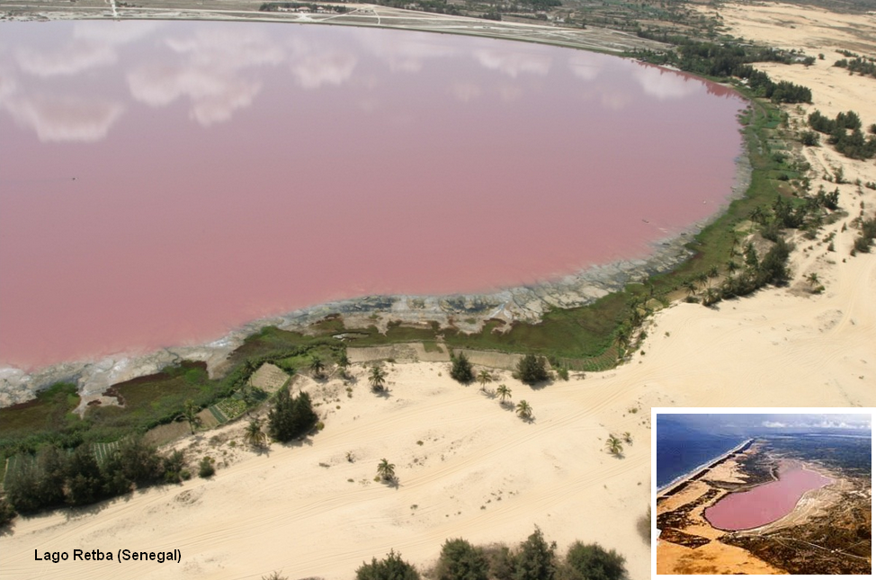 Pró Beleza Natural: Turismo: Conheça os Lagos Cor-de-Rosa