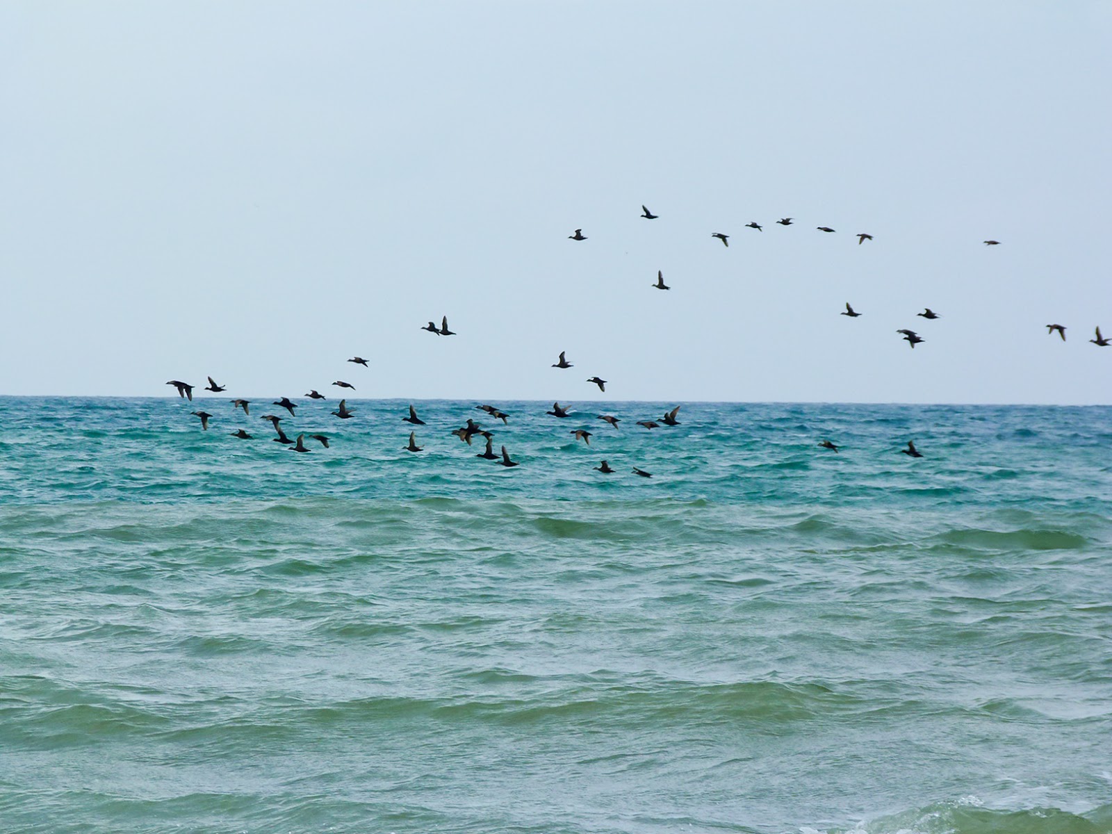 Skagen - Where Two Seas Collide |Blissful Solitary Wanderings