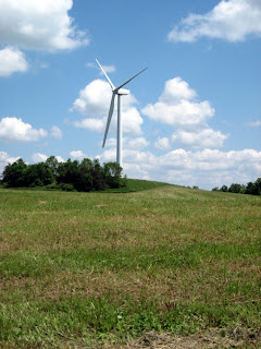 Choose to chance the rapids and dare to dance the tide: Fenner Wind Farm