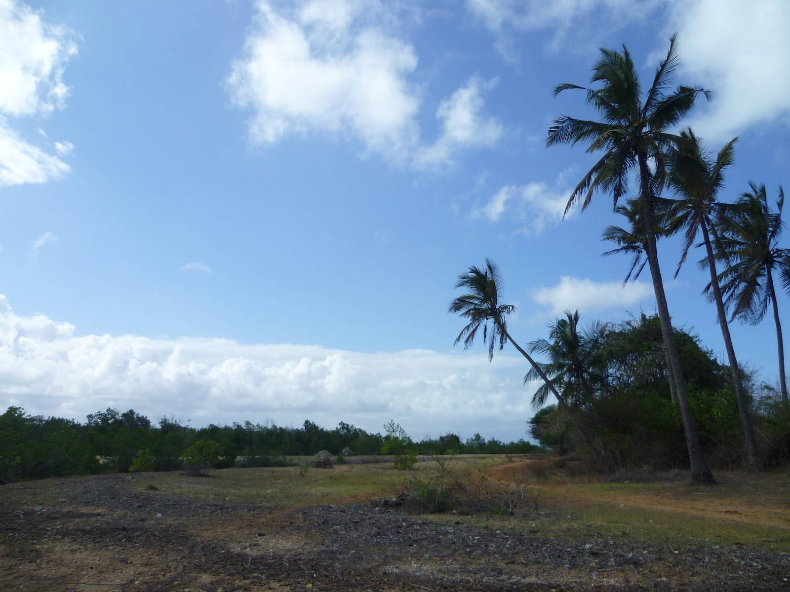 Senicoms Green Solutions: A Beatiful 2.5 Acres of Beach Land for Sale ...