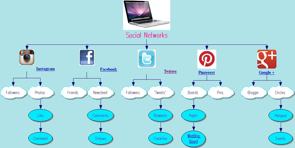 Emily IT 365: Social Networks Concept Map