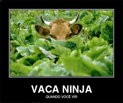 A Vaca Ninja