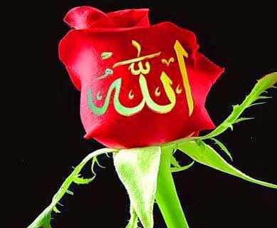 HAZRAT AWAISKARNI R.A: ALLAH NAME ON FLOWER
