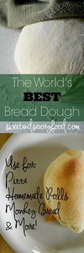 The World's BEST Bread Dough | Ally's Sweet & Savory Eats