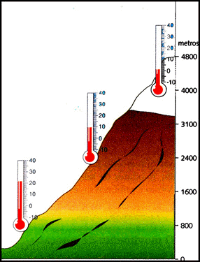 Geografia: ALTITUDE E LATITUDE / MARITIMIDADE E CONTINENTALIDADE