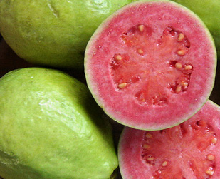 Natural Medicinal Plant Guava | Alternative Medicine with Holistic ...