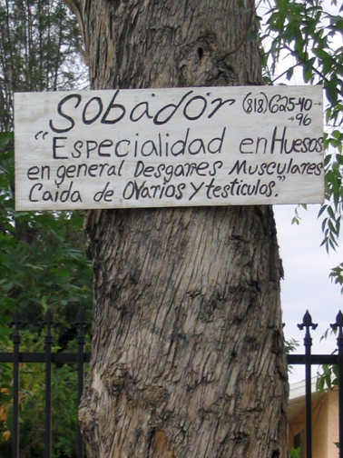 BABOSADAS MIAS Y DEMAS HIERBAS: UN SOBADOR EN LOS YUNÁIS