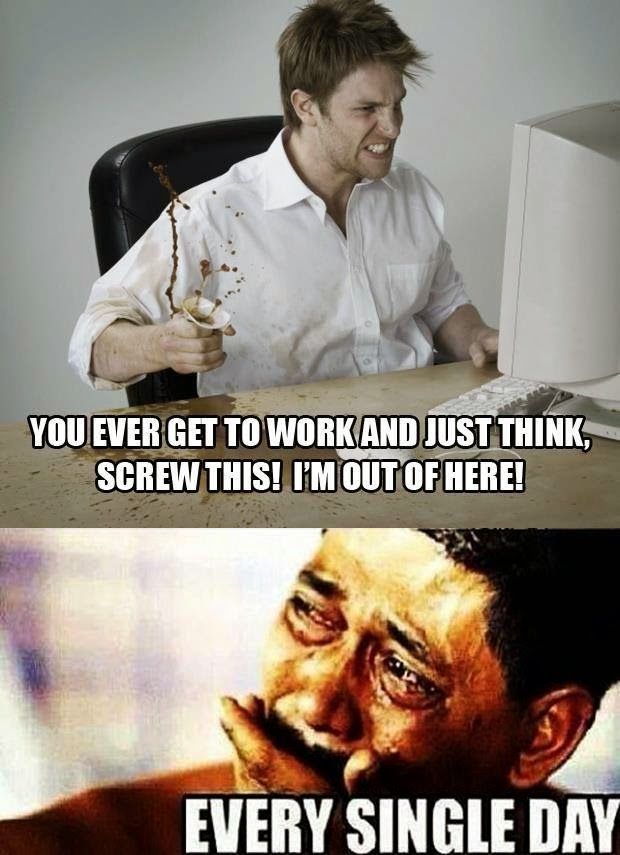 22 Meme Internet: you ever get to work and just think, screw this! I'm ...