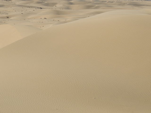 mnkcusa: Yuma AZ, Imperial Sand Dunes
