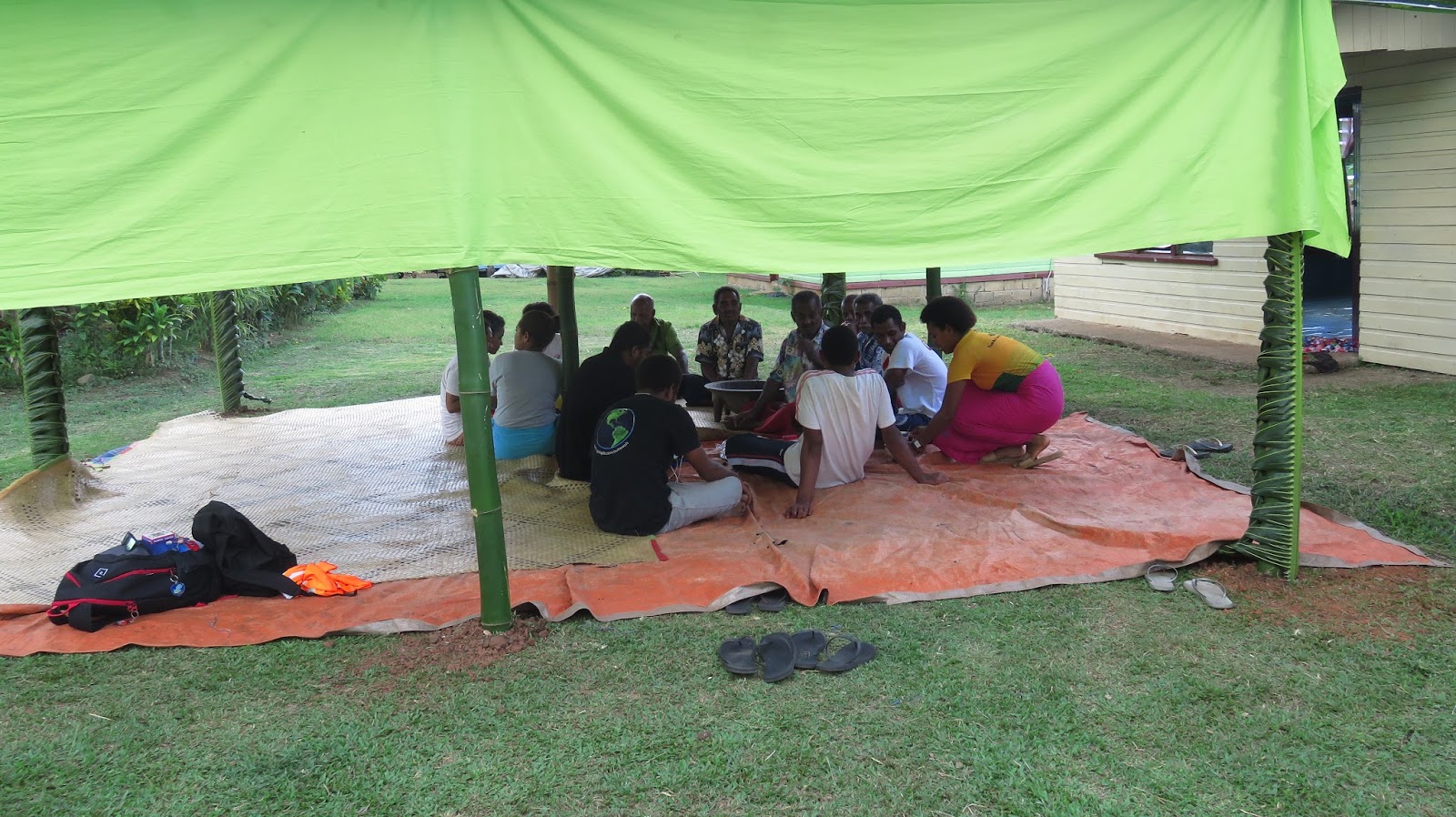 A Human Geographer in Fiji: Grog - groggy - Kava - Yaqona - Piper ...