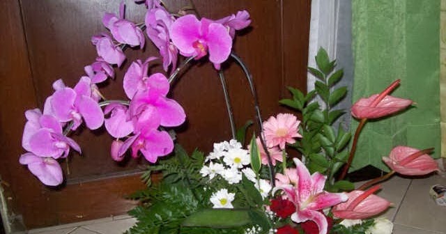 bunga meja anggrek bulan | E'S Florist Sidoarjo