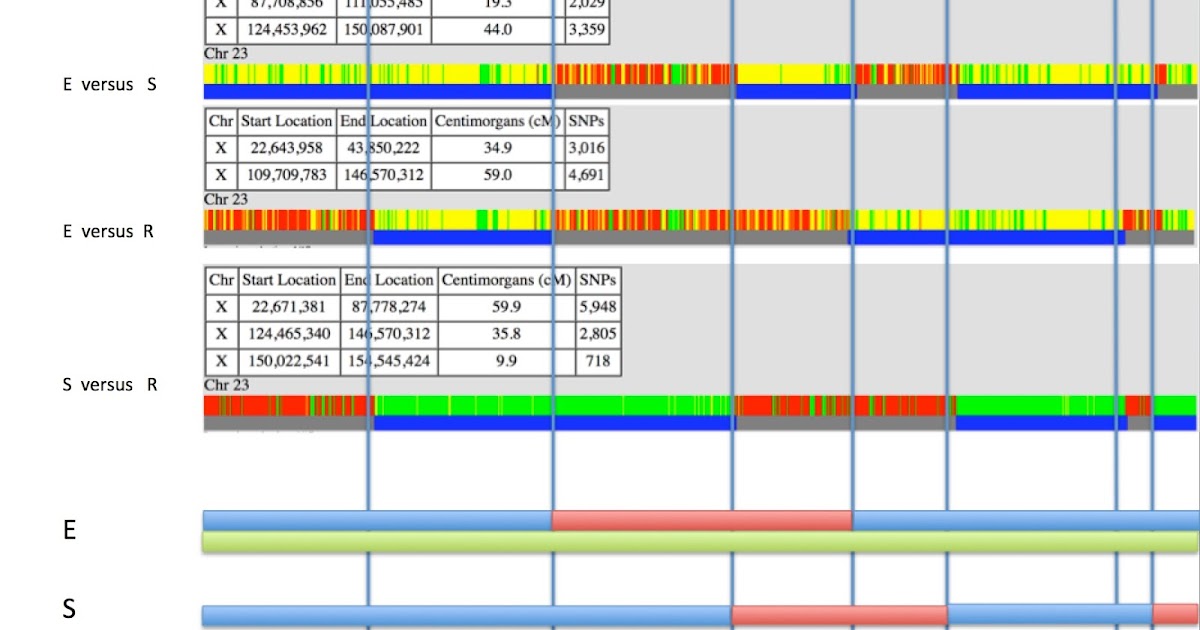 From Maine to Kentucky: DNA ~ Visual Phasing