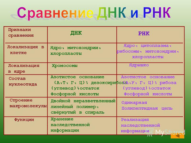 ДИВОВИЖНЕ НАВКОЛО НАС Блог вчителя біології Поліщук Наталії Ігорівни ...