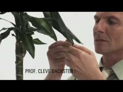 Gi Thibault, sorcière de coeur: Cleve Backster découvre la capacité ...